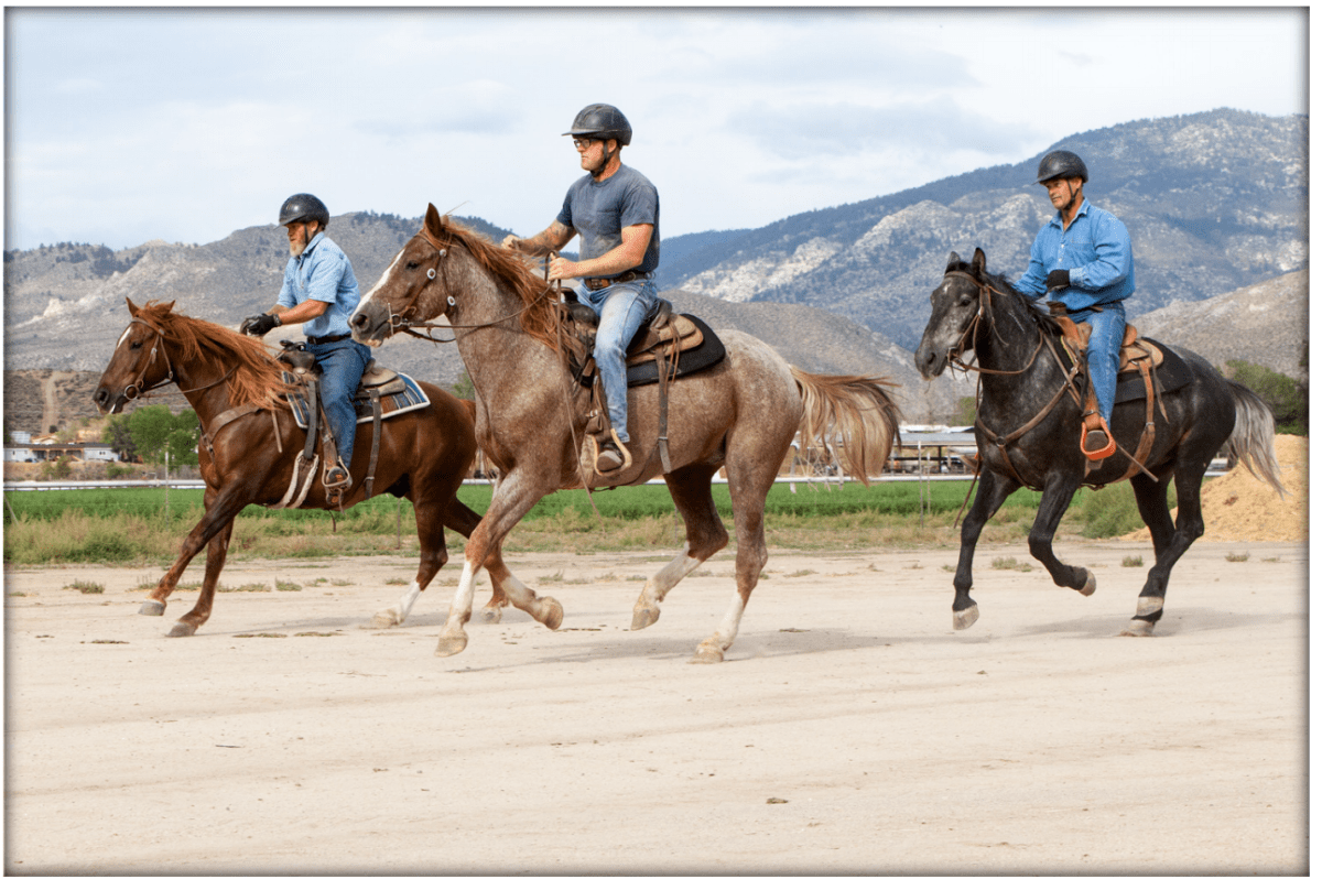 I Want All The Mustangs – Centered in the Saddle